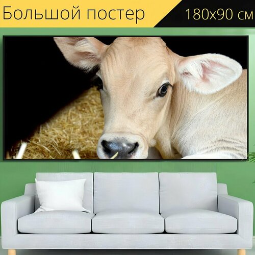 Большой постер "Телец, молоко, корова" 180 x 90 см. для интерьера
