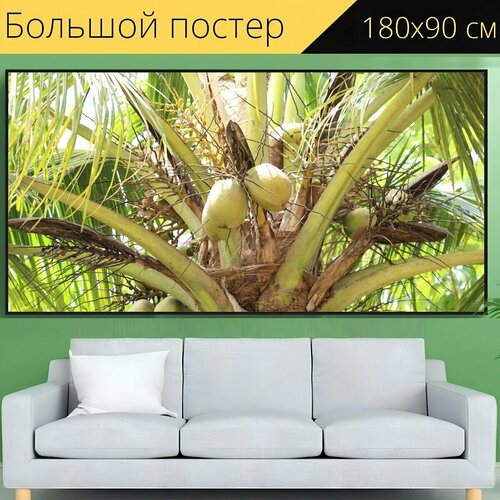 Большой постер "Дерево, кокос, ладонь" 180 x 90 см. для интерьера
