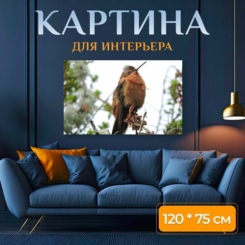 Картина на холсте "Колибри, птица, экзотика" на подрамнике 120х75 см. для интерьера