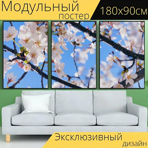 Модульный постер "Цветы, сакура, вишни в цвету" 180 x 90 см. для интерьера