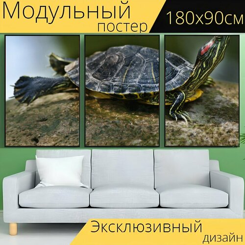 Модульный постер "Черепаха, малые, животные" 180 x 90 см. для интерьера