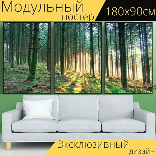 Модульный постер "Деревья, лучи солнца, природа" 180 x 90 см. для интерьера