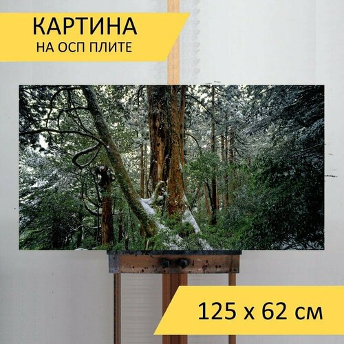 Картина на ОСП 125х62 см. "Кедровый лес, зима, снег" горизонтальная, для интерьера, с креплениями