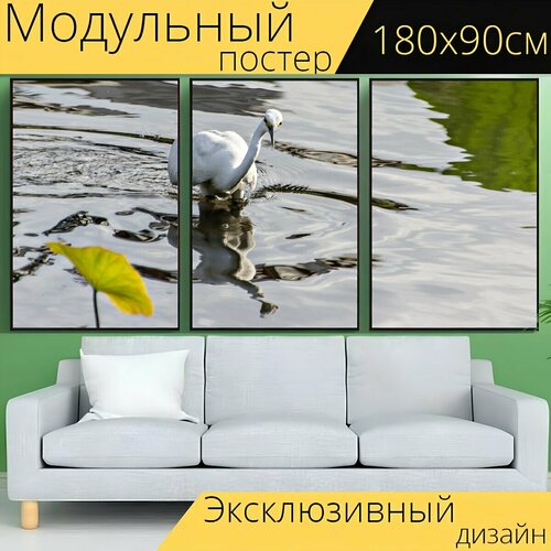 Модульный постер "Малая белая цапля, птица, озеро" 180 x 90 см. для интерьера