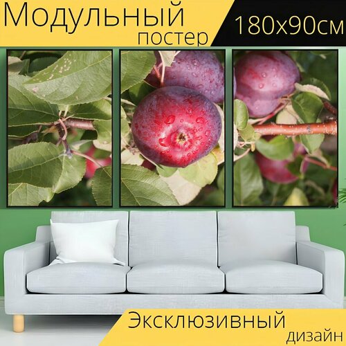 Модульный постер "Яблоко, фруктовый сад, вермонт еда" 180 x 90 см. для интерьера