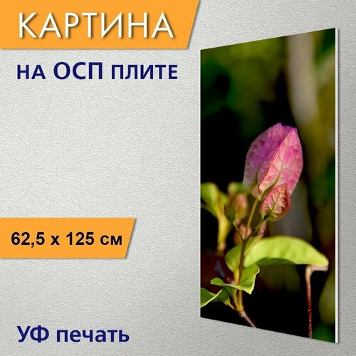 Вертикальная картина на ОСП "Бугенвиллия, две тонны, цвести" 62x125 см. для интерьериа