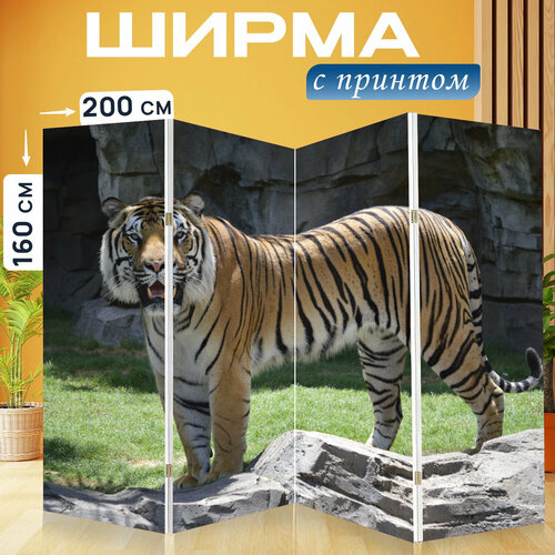 Ширма перегородка с принтом "Тигр, остановился, зоопарк" на холсте - 200x160 см. для зонирования, раскладная