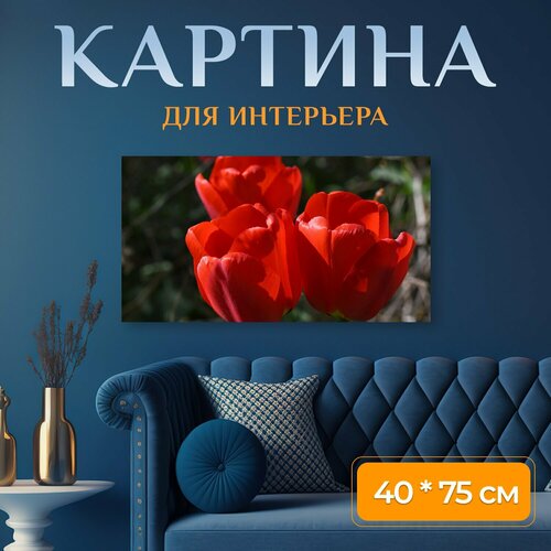 Картина на холсте "Тюльпаны, цветок, природа" на подрамнике 75х40 см. для интерьера