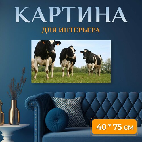 Картина на холсте "Корова, поле, природа" на подрамнике 75х40 см. для интерьера