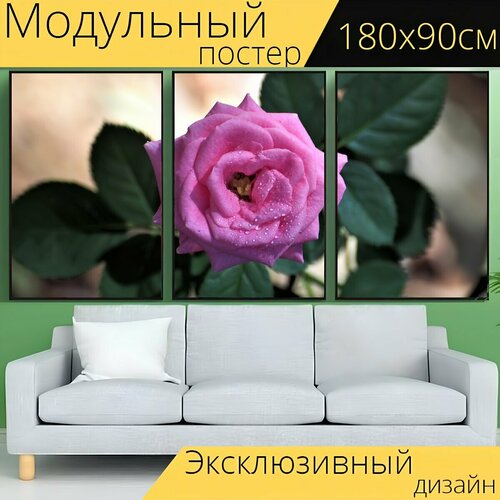 Модульный постер "Розовая роза, небольшой, завод" 180 x 90 см. для интерьера