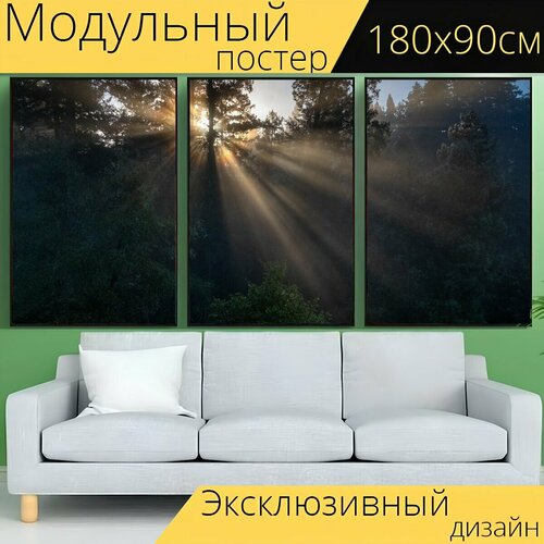 Модульный постер "Утро, солнечный свет, лес" 180 x 90 см. для интерьера