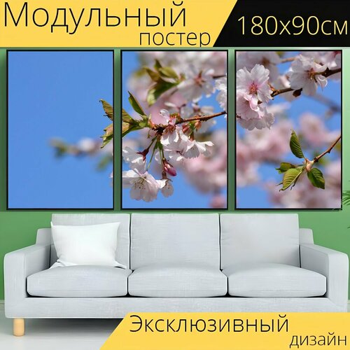 Модульный постер "Вишни в цвету, японская вишня, цветущее дерево" 180 x 90 см. для интерьера