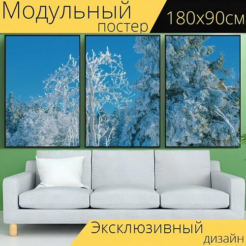 Модульный постер "Зимний пейзаж, ели, деревья" 180 x 90 см. для интерьера