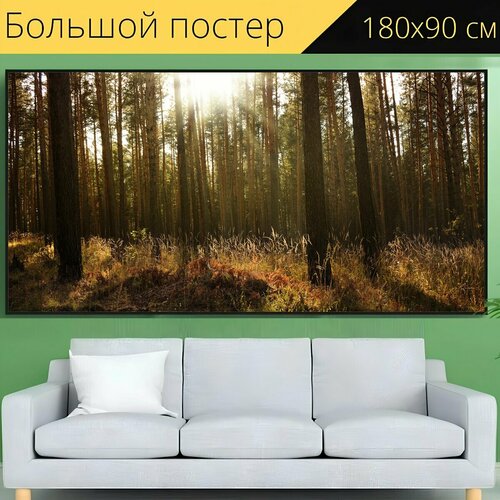 Большой постер "Природа, лес, солнце" 180 x 90 см. для интерьера