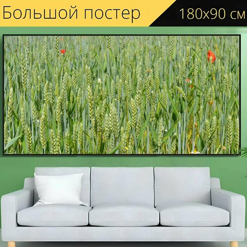Большой постер "Пшеница, зерно, поле" 180 x 90 см. для интерьера