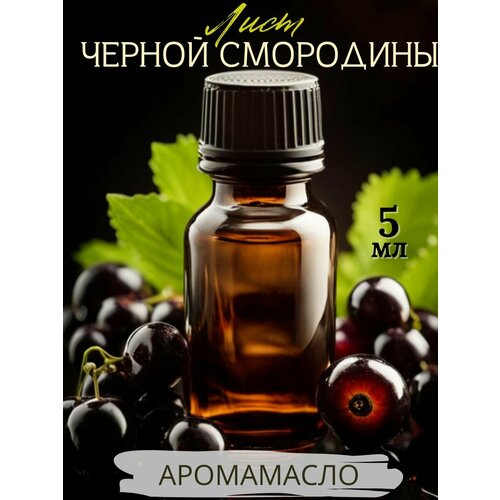 Ароматическое масло с капельницей Лист чёрной смородины 5 мл AROMAKO, для диффузоров, увлажнителей, ароматерапия