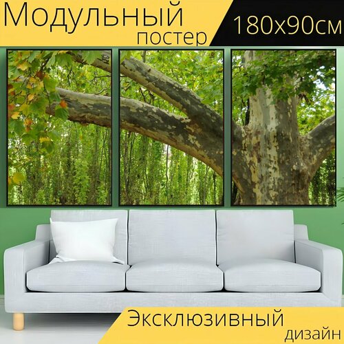 Модульный постер "Дерево, осень, зеленый" 180 x 90 см. для интерьера