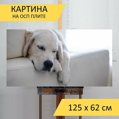 Картина на ОСП 125х62 см. "Собака, животное, домашний питомец" горизонтальная, для интерьера, с креплениями
