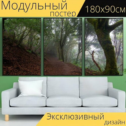 Модульный постер "Дорожка, деревья, лес" 180 x 90 см. для интерьера