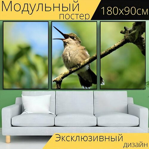 Модульный постер "Птица, колибри, открытый клюв" 180 x 90 см. для интерьера