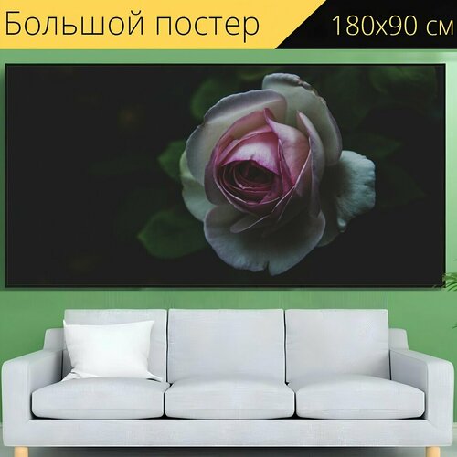 Большой постер "Розовый, розы, цветы" 180 x 90 см. для интерьера