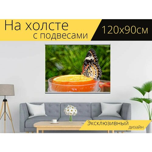Картина на холсте "Бабочка, насекомое, природа" с подвесами 120х90 см. для интерьера