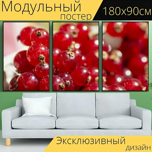 Модульный постер "Смородина, ягода, фрукты" 180 x 90 см. для интерьера