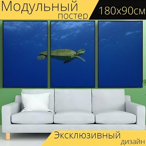 Модульный постер "Черепаха, тихоокеанский, гавайи" 180 x 90 см. для интерьера