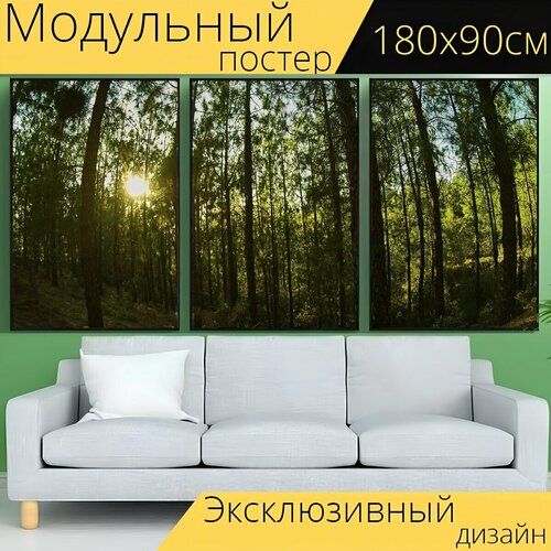 Модульный постер "Лес, леса, сосновый лес" 180 x 90 см. для интерьера