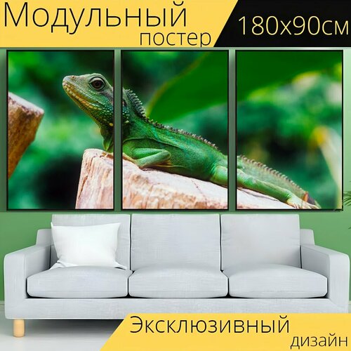 Модульный постер "Ящерица, рептилия, дикая природа" 180 x 90 см. для интерьера