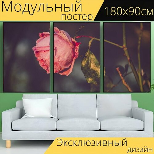 Модульный постер "Цветок, роза, цветочный" 180 x 90 см. для интерьера