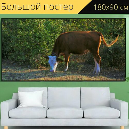 Большой постер "Корова, животное, млекопитающее" 180 x 90 см. для интерьера