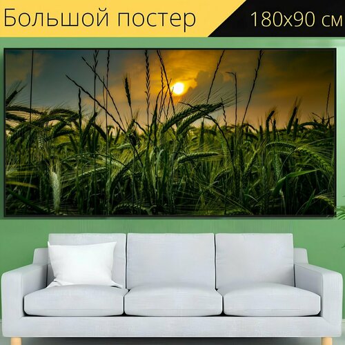 Большой постер "Зерно, небеса, зерновое поле" 180 x 90 см. для интерьера