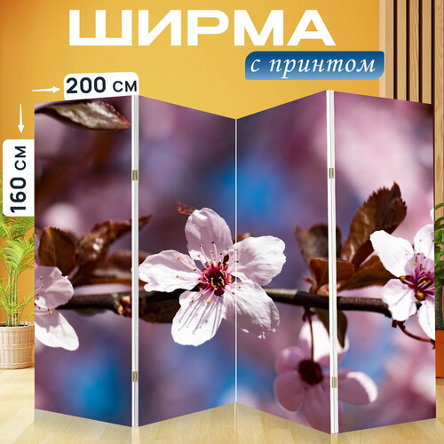 Ширма перегородка с принтом "Цветок, слива, весна" на холсте - 200x160 см. для зонирования, раскладная