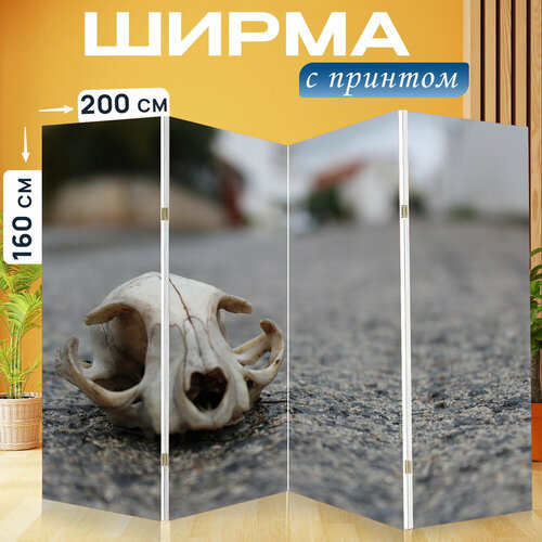 Ширма перегородка с принтом "Природа, животное, череп" на холсте - 200x160 см. для зонирования, раскладная