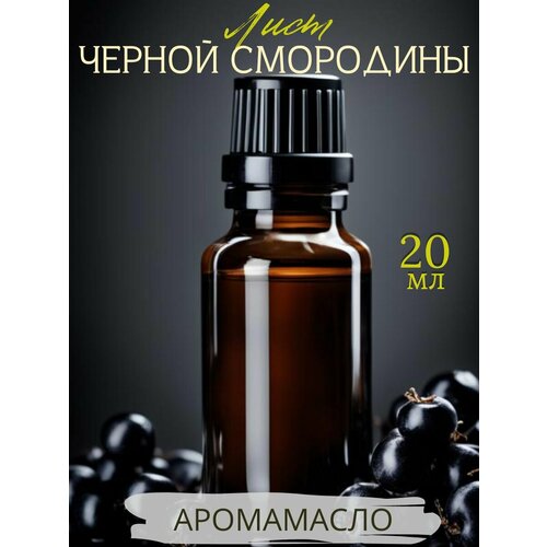 Ароматическое масло с капельницей Лист чёрной смородины 20 мл AROMAKO, для диффузоров, увлажнителей, ароматерапия