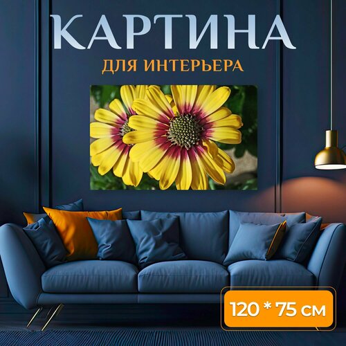 Картина на холсте "Цветы, желтый, ромашки" на подрамнике 120х75 см. для интерьера