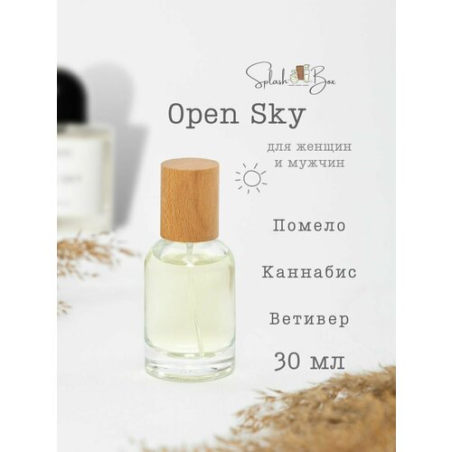 Open Sky духи стойкие