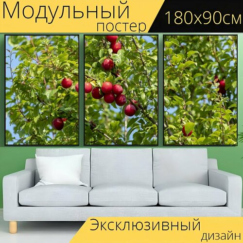 Модульный постер "Слива, фрукты, сливовое дерево" 180 x 90 см. для интерьера