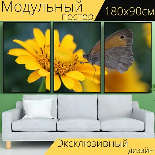 Модульный постер "Бабочка, цветок, цветочная пыльца" 180 x 90 см. для интерьера