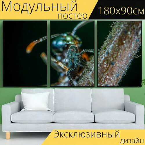 Модульный постер "Макро, насекомое, муравей" 180 x 90 см. для интерьера