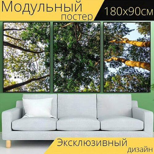 Модульный постер "Деревья, листья, сундуки" 180 x 90 см. для интерьера