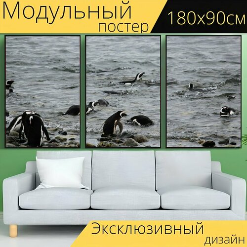 Модульный постер "Ловит рыбу, пингвины, животное" 180 x 90 см. для интерьера