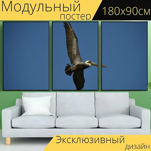 Модульный постер "Пеликан, птица, пик" 180 x 90 см. для интерьера