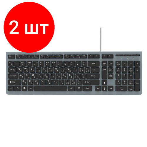 Комплект 2 штук, Клавиатура RITMIX RKB-400 Grey Проводная SLIM , USB (80000596)