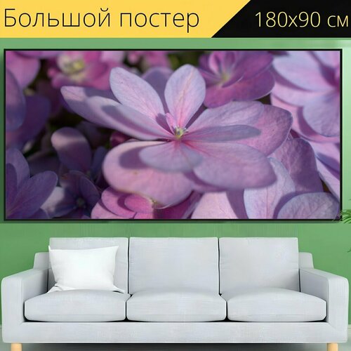Большой постер "Цвести, цветок, фиолетовый" 180 x 90 см. для интерьера