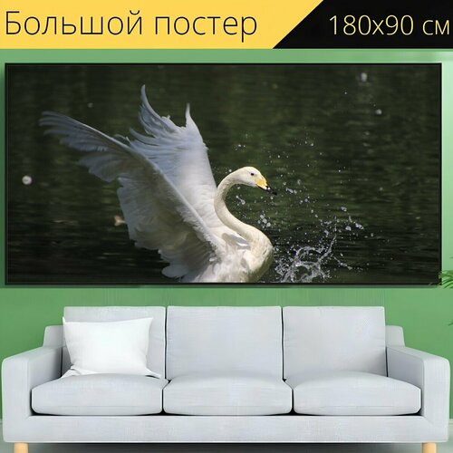 Большой постер "Лебедь, птица, пруд" 180 x 90 см. для интерьера