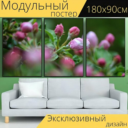 Модульный постер "Яблоня, цветок, цветы" 180 x 90 см. для интерьера