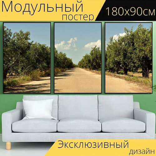 Модульный постер "Проспект, деревья, оливковые деревья" 180 x 90 см. для интерьера