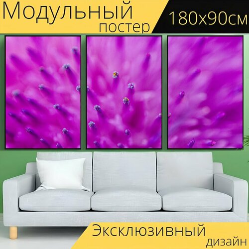 Модульный постер "Фиолетовый, цветок, блум" 180 x 90 см. для интерьера